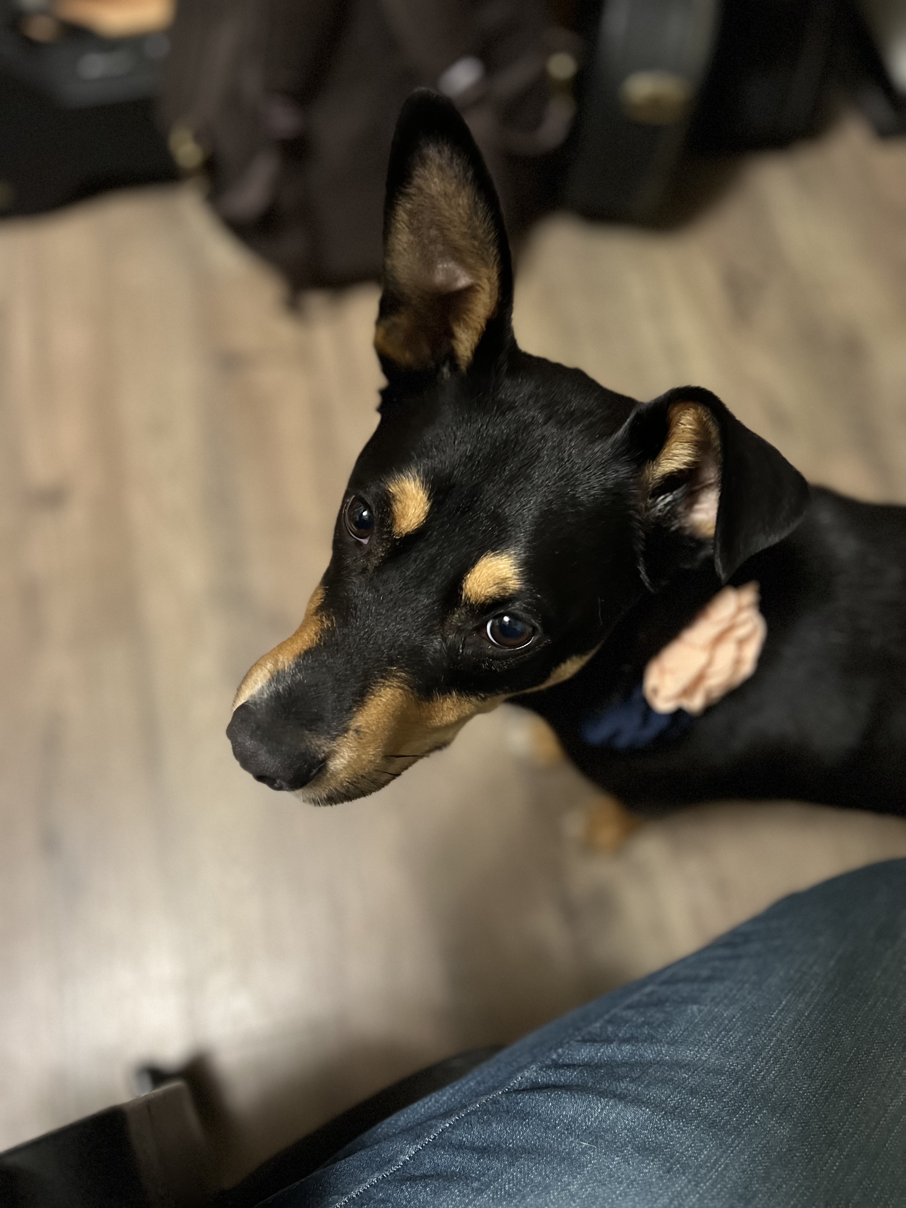 Short Week, Long Week | Accidental Fudge